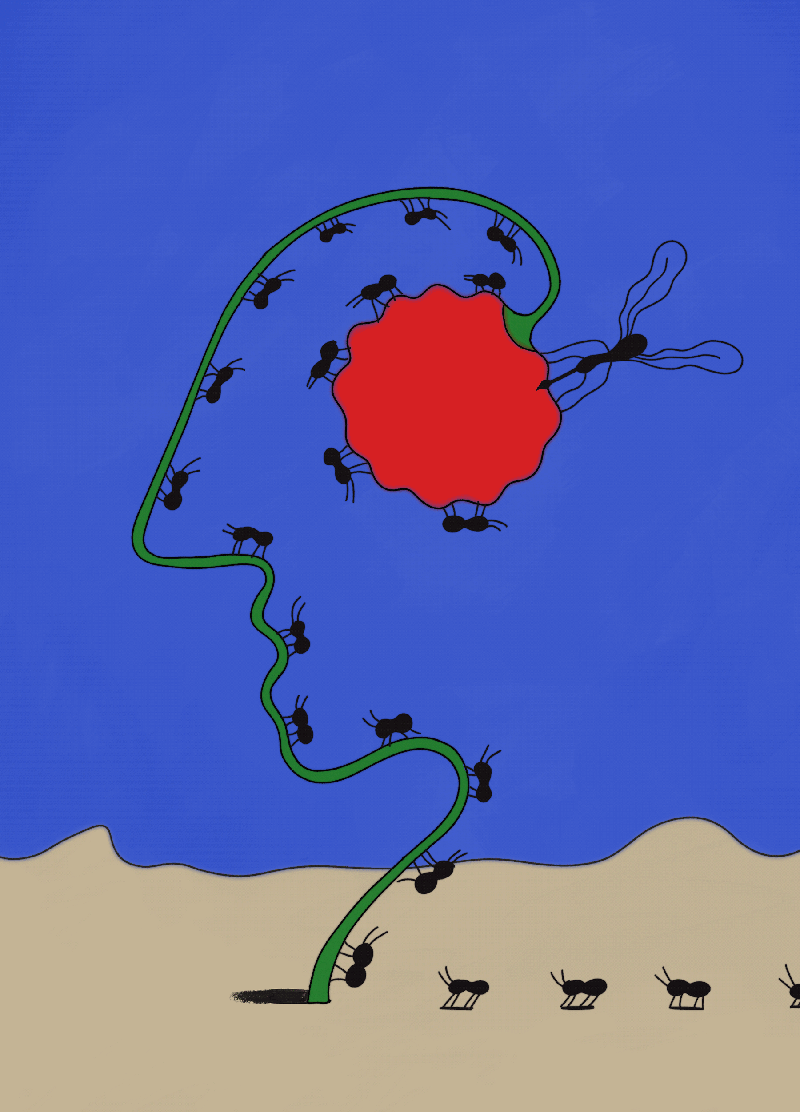 Henri Campeã ties humour, magic and surrealism into his narrative ...