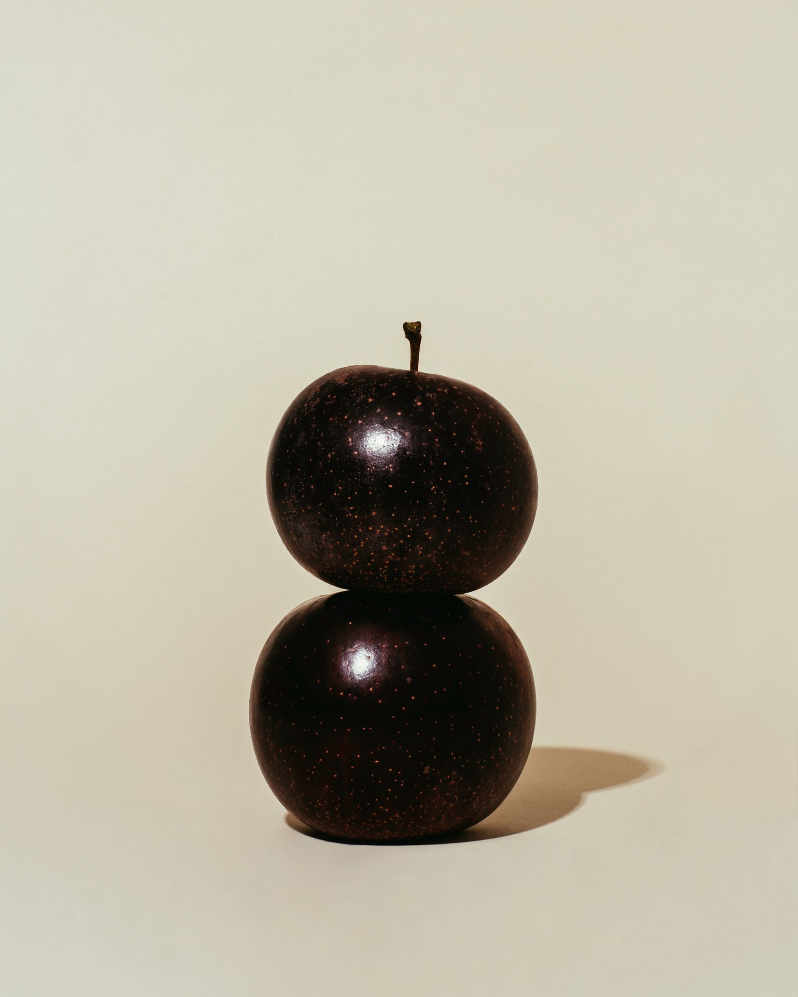 Odd Apples: Photographs by William Mullan of some of the world's ...