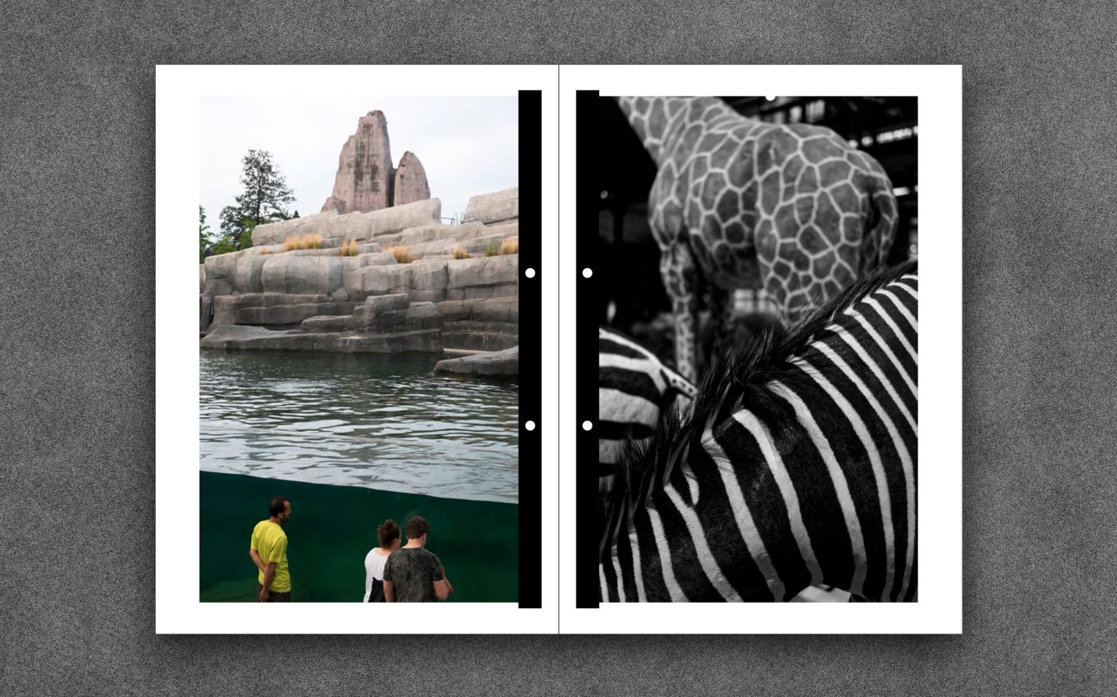 Bureau David Voss shows how it's done when it comes to student/studio ...