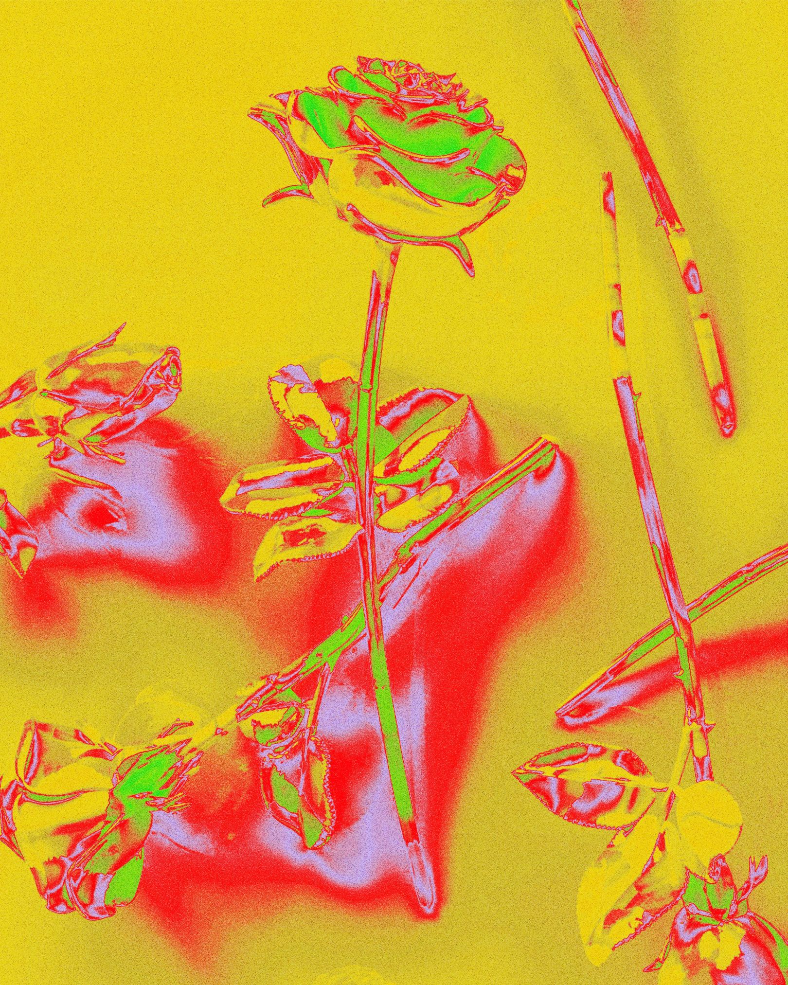 Javier Fuentes reconnects with his cultural roots via trippy digital ...