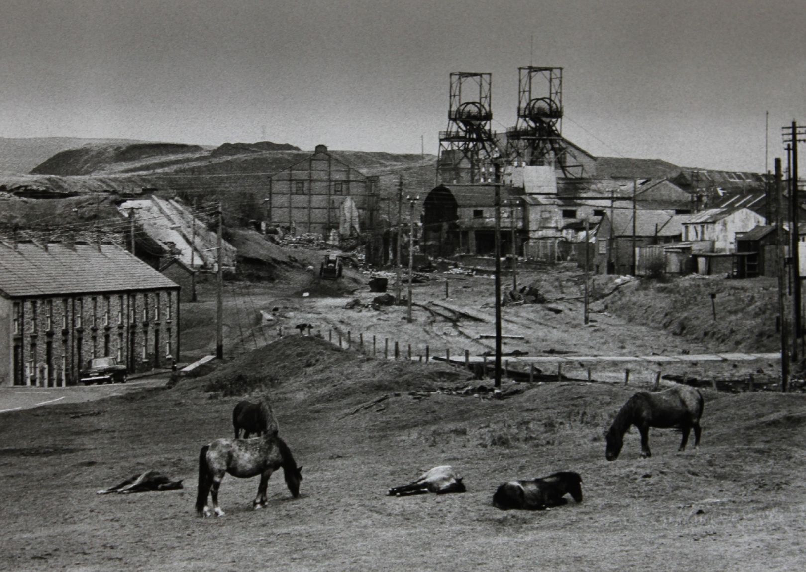 Modern Nature: Photography that explores the merging of urban and rural ...