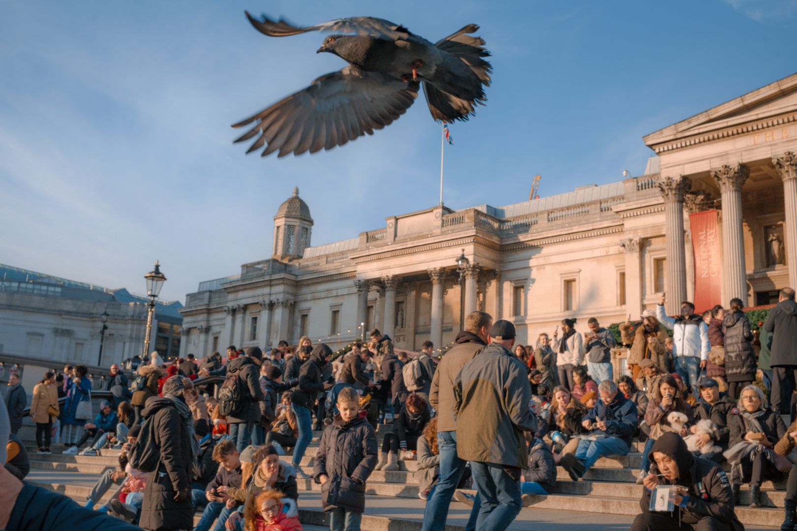 Primary-coloured photographs of 'quirky' London by Josh Edgoose ...