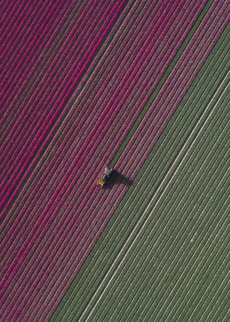 Threaded rope artworks that depict tree roots or human blood vessels by ...