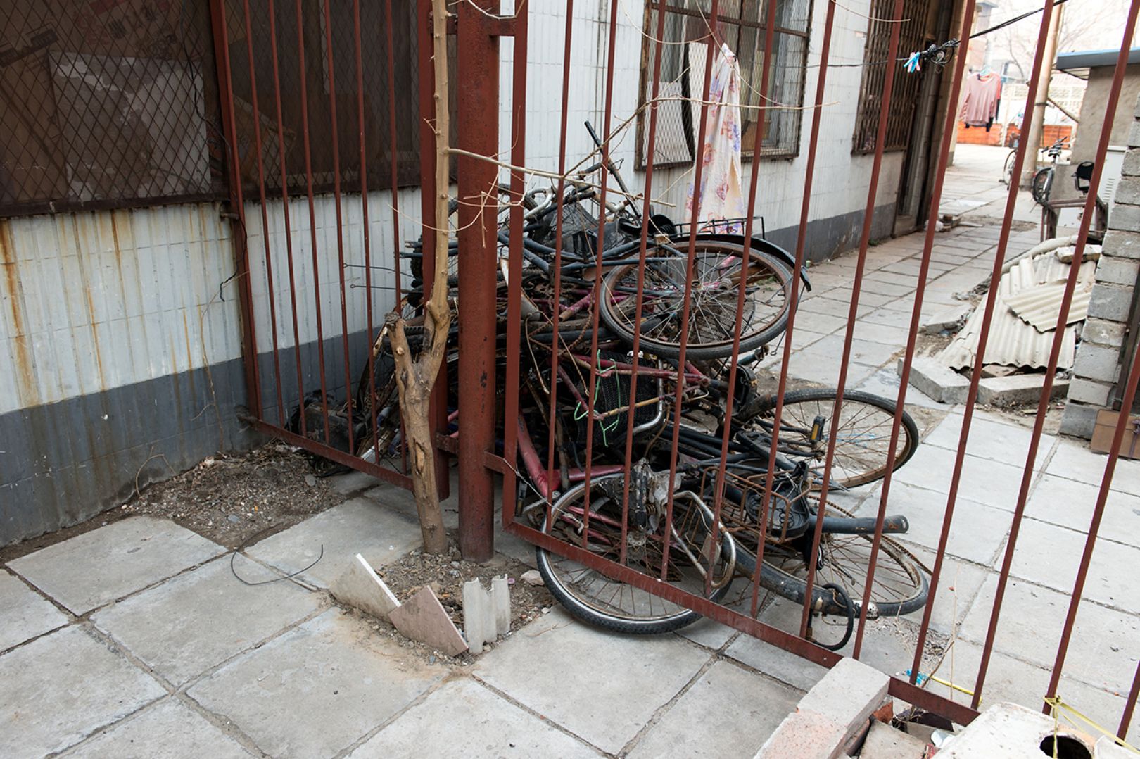 Bicycles in Beijing: photographer documents China's once-loved ...