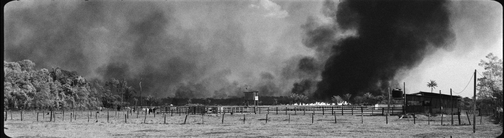 Richard Mosse captures the deforestation of the Amazon from the air ...