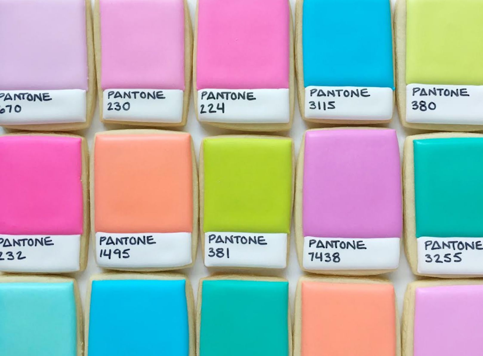 Graphic designer uses her own design skills to craft colourful sugar ...