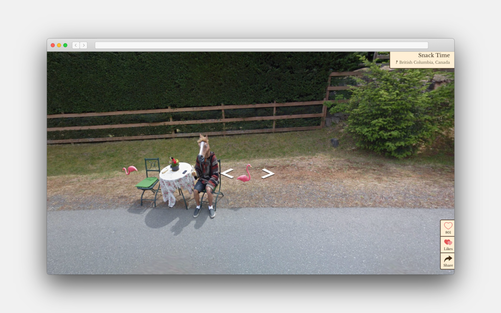 Wonders of Street View: Neal Agarwal's website brings together surreal ...
