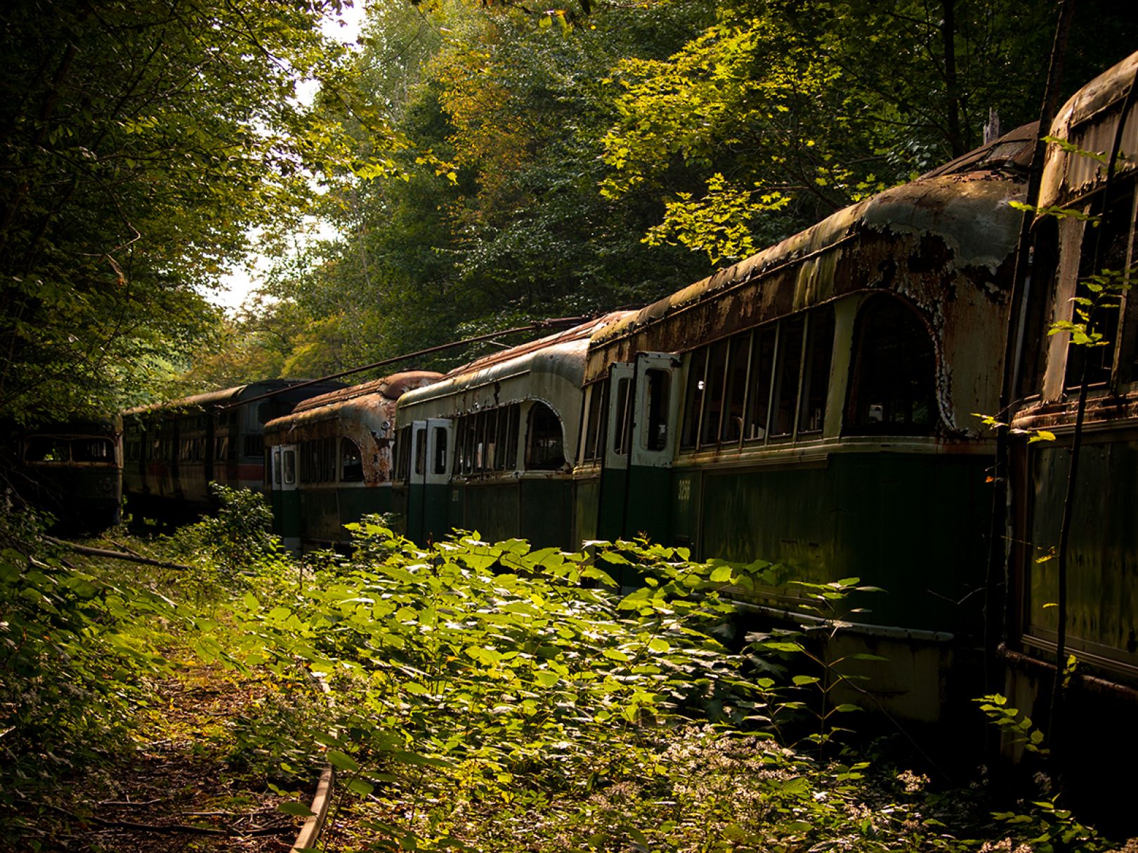 Americana Forgotten: Photographer documents the abandoned American ...