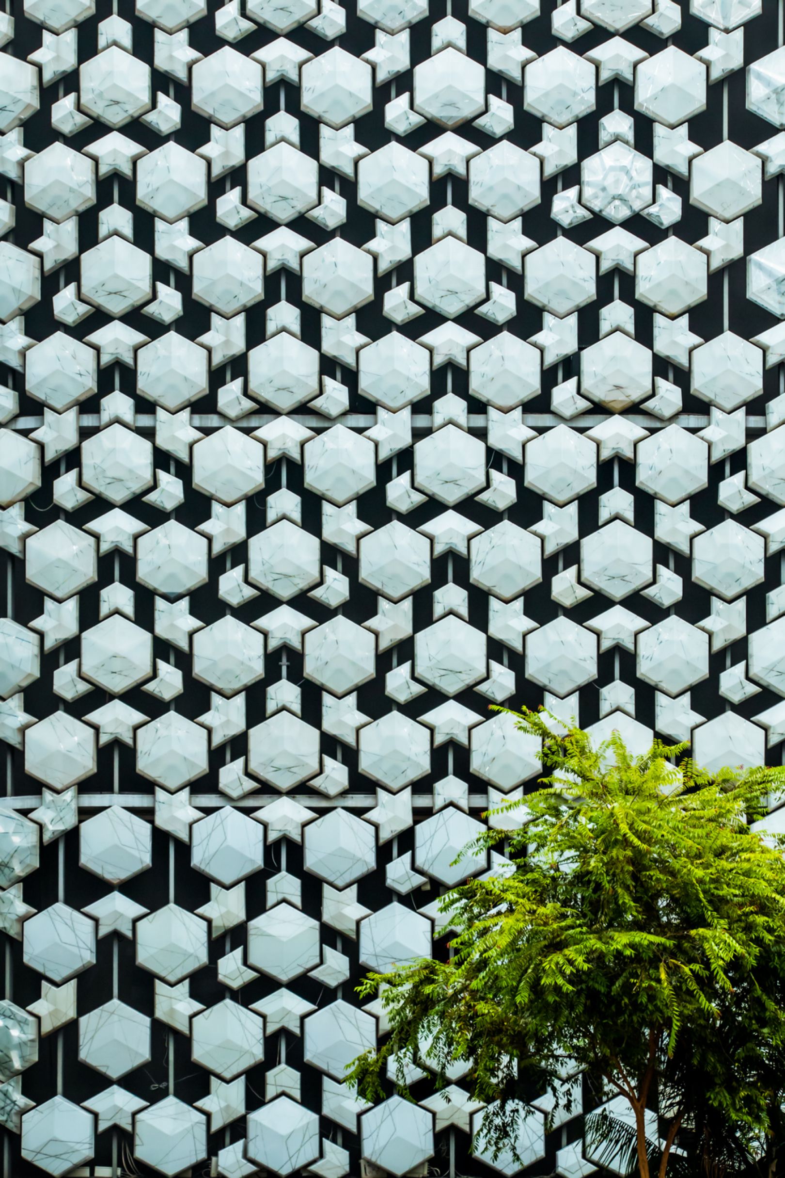 Architectural photography that mimics common natural elements ...