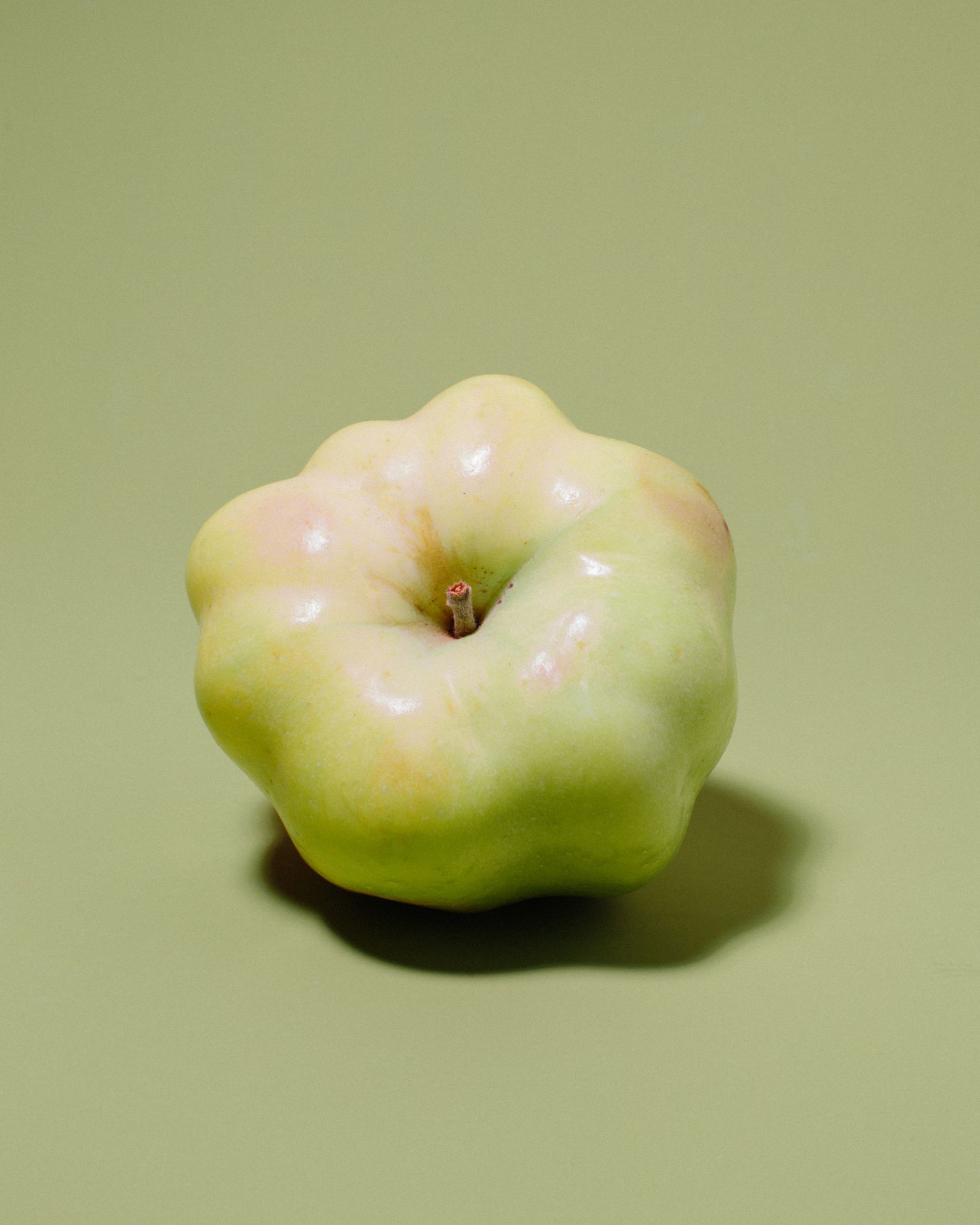 Odd Apples: Photographs by William Mullan of some of the world's ...