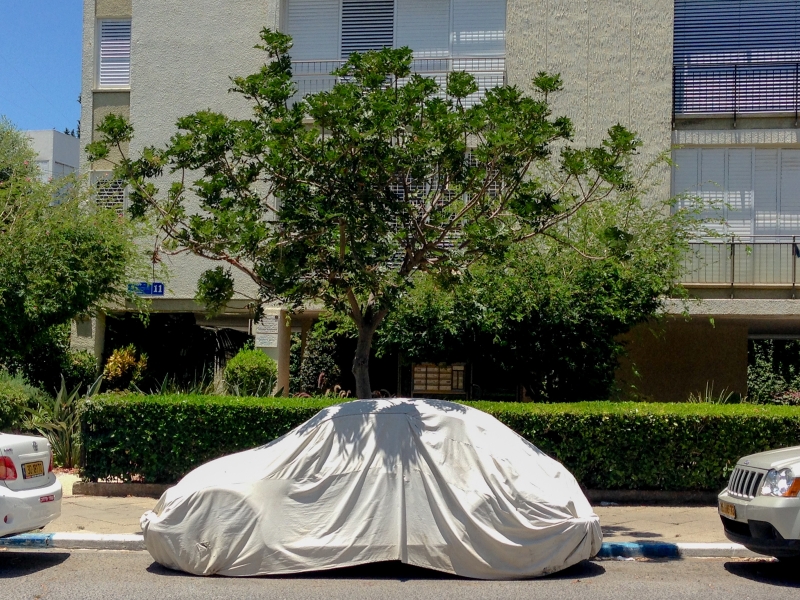 Urban Nature: David Goldstein shows the beauty of cities coexisting ...