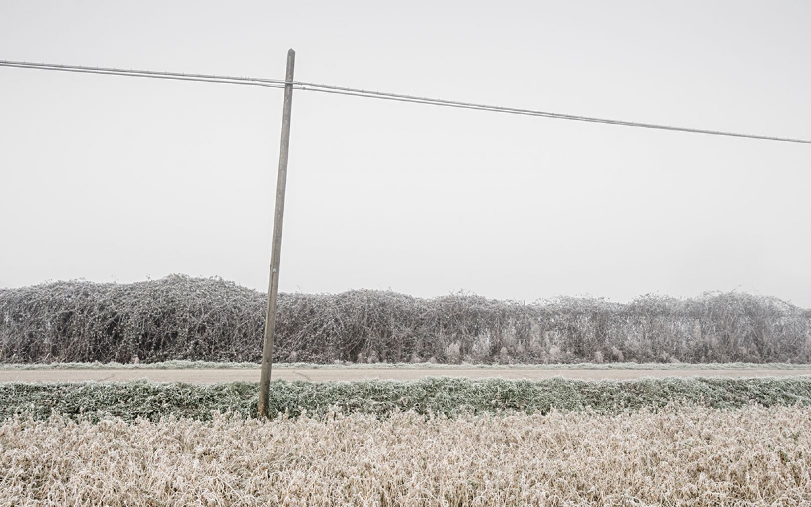 Silver Morning: Alessandro Zanoni documents a freezing winter's morning ...