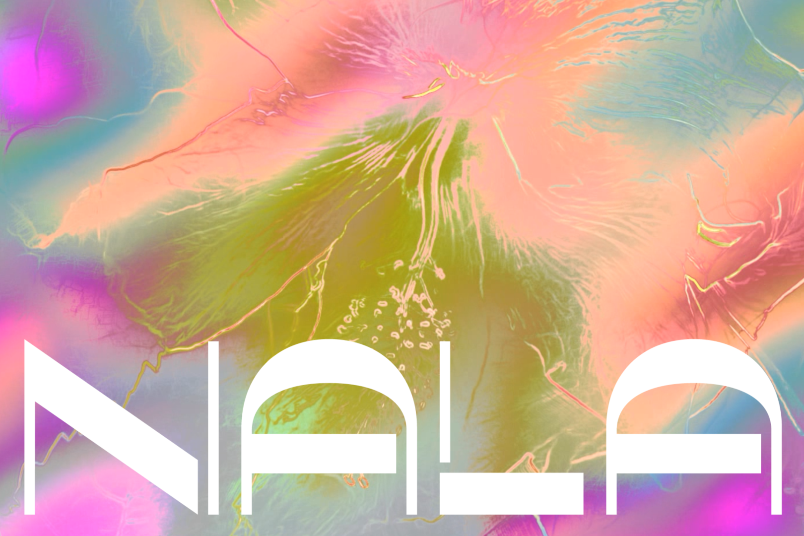 Universal Favourite crafts an inclusive identity for game-changing ...