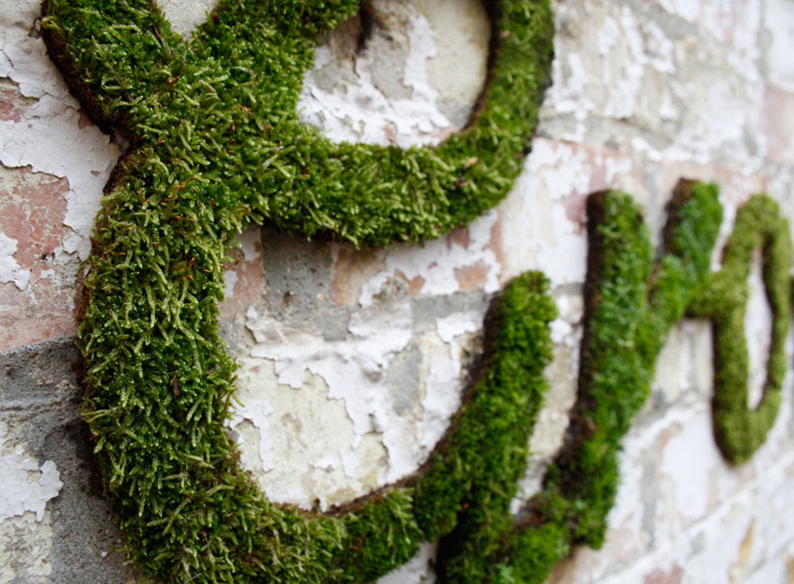 Street artists unleash the green with Moss Graffiti | Creative Boom