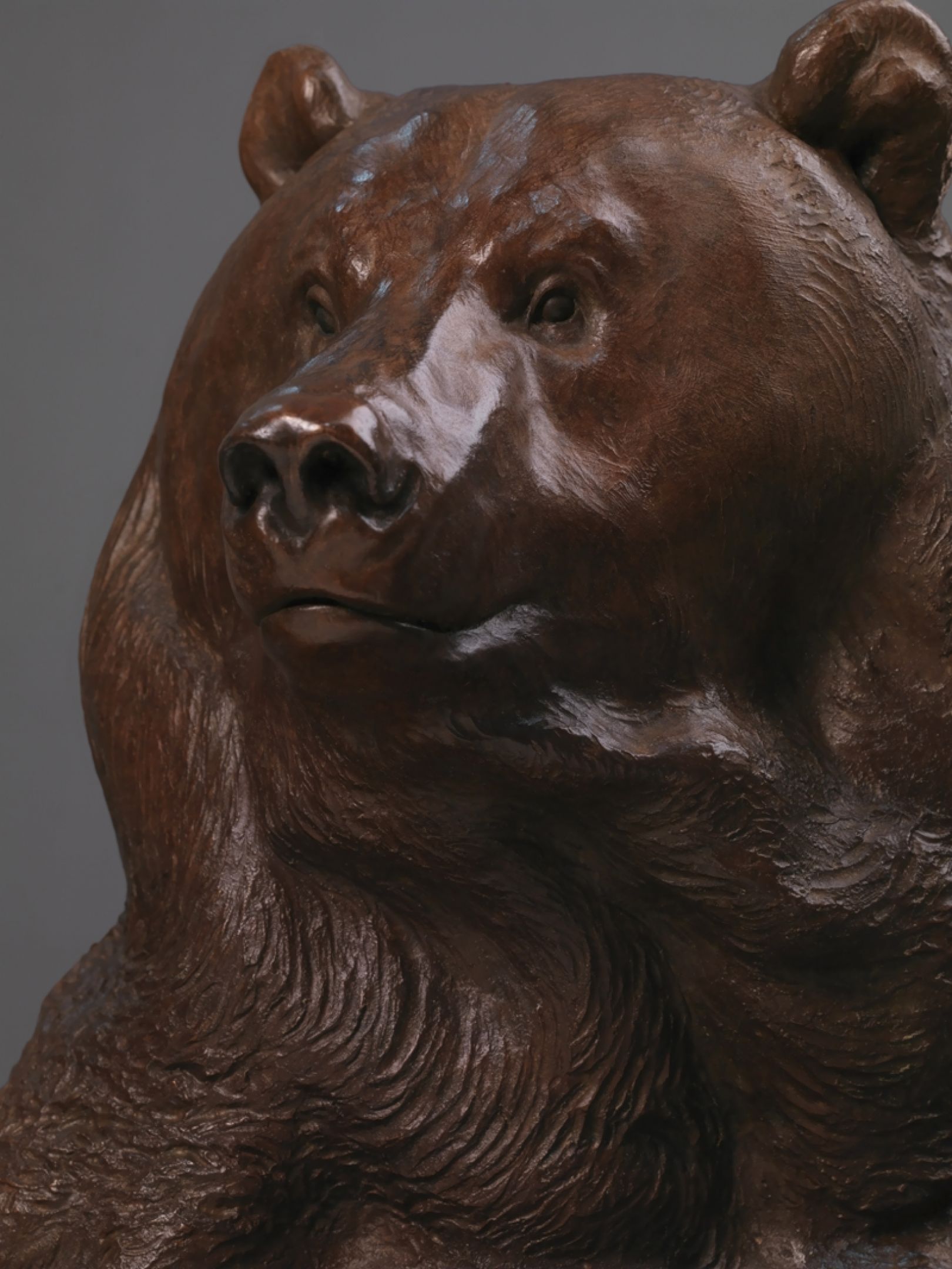 Nick Bibby is a sculpture that brings wildlife to life | Creative Boom