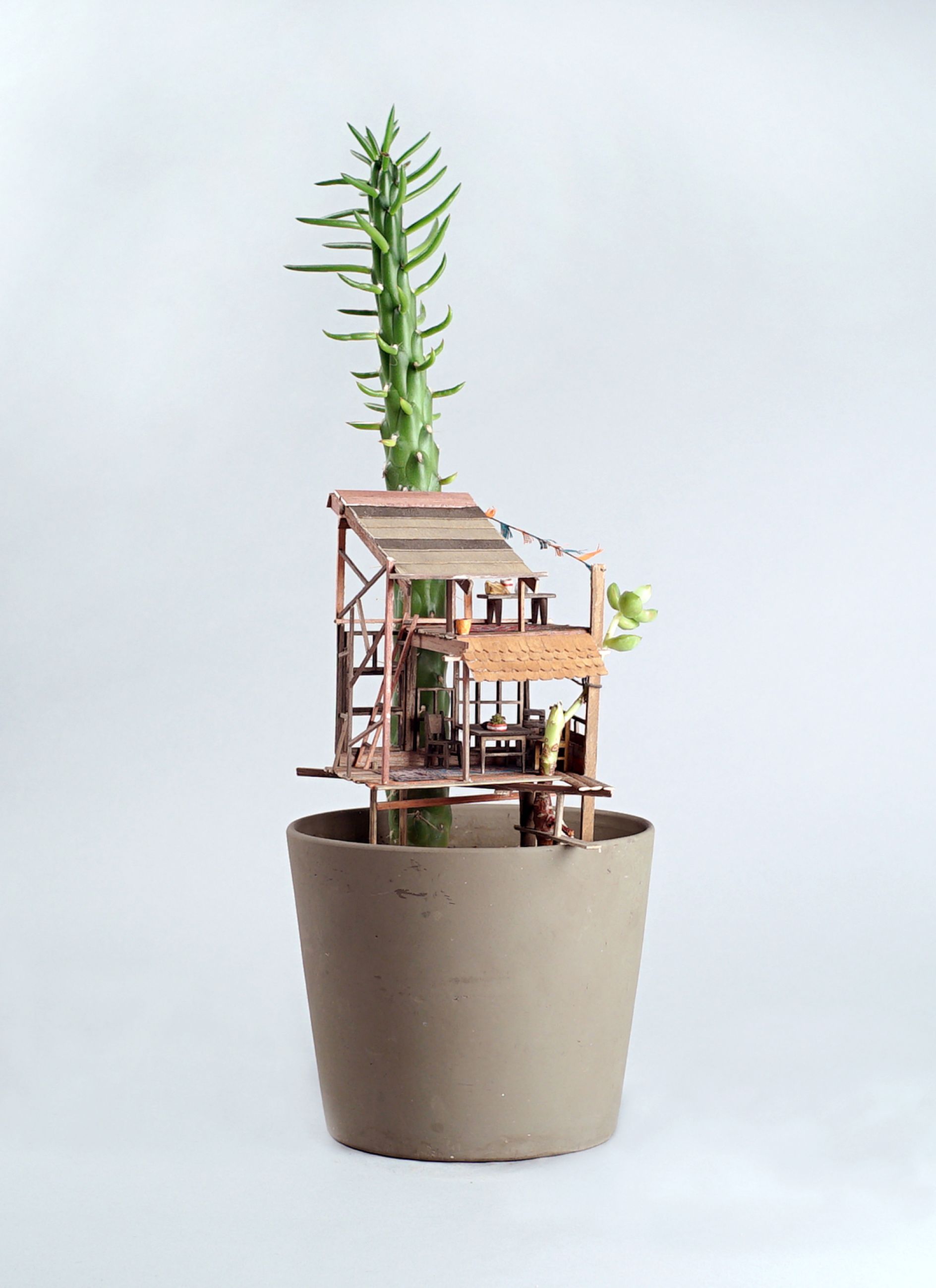 Artist crafts miniature treehouse sculptures to sit within ordinary ...