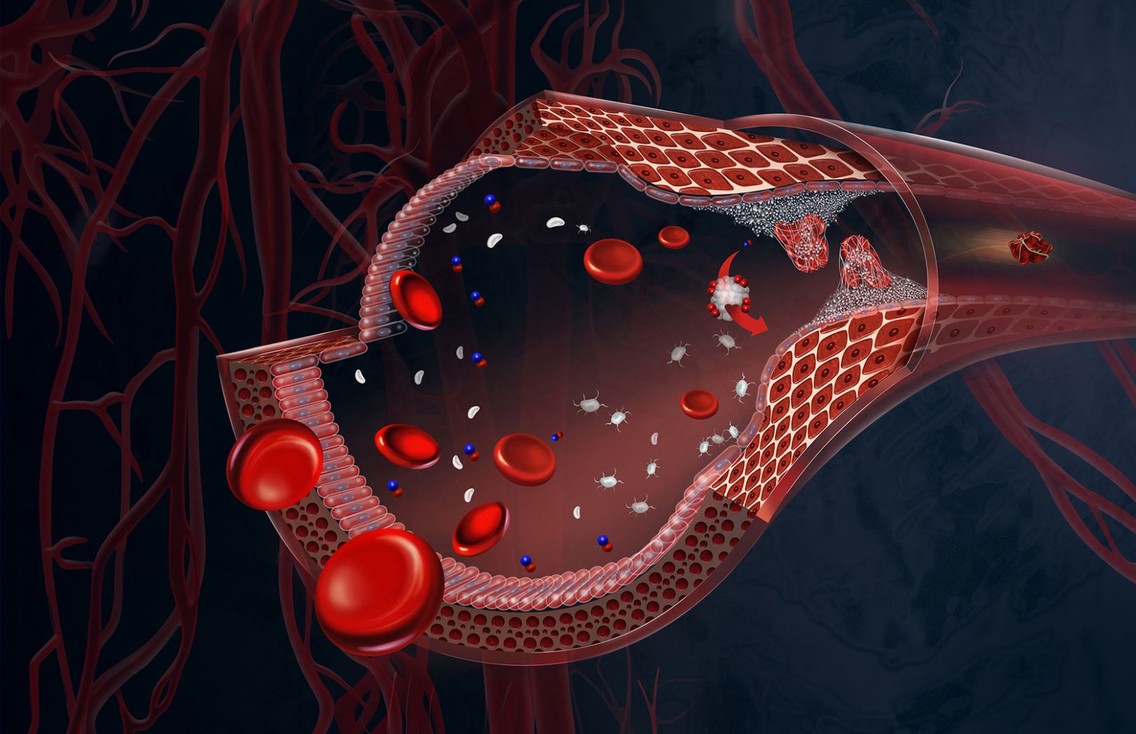 16 medical illustrators doing groundbreaking work | Creative Boom