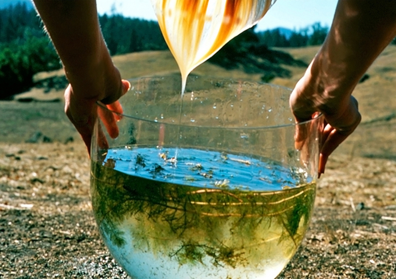 Jidouhanbaiki: Photo series that explores Japan's obsession with ...