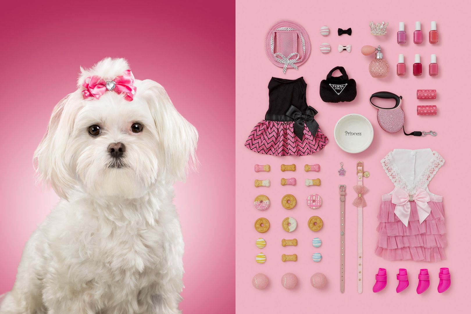 A Dog's Life: Photographs of pooches alongside the objects that shape ...