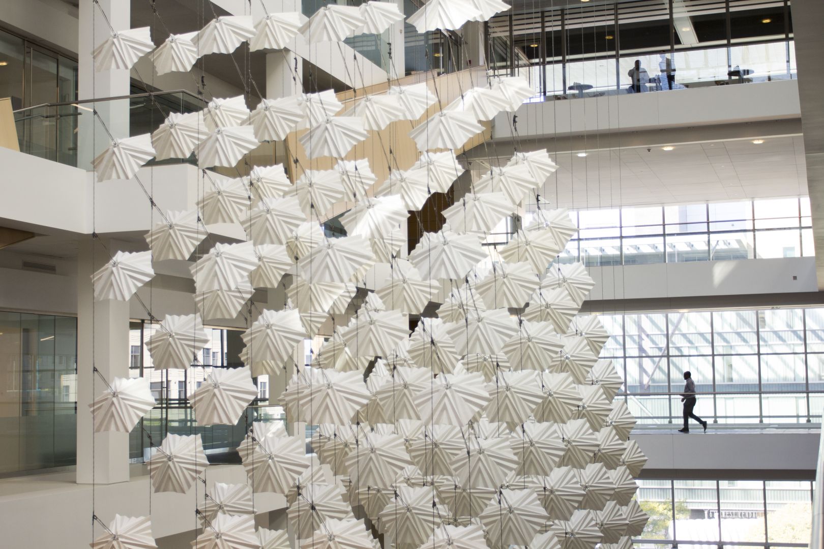 Mesmerising kinetic sculpture that mimics the movement of a flock of ...