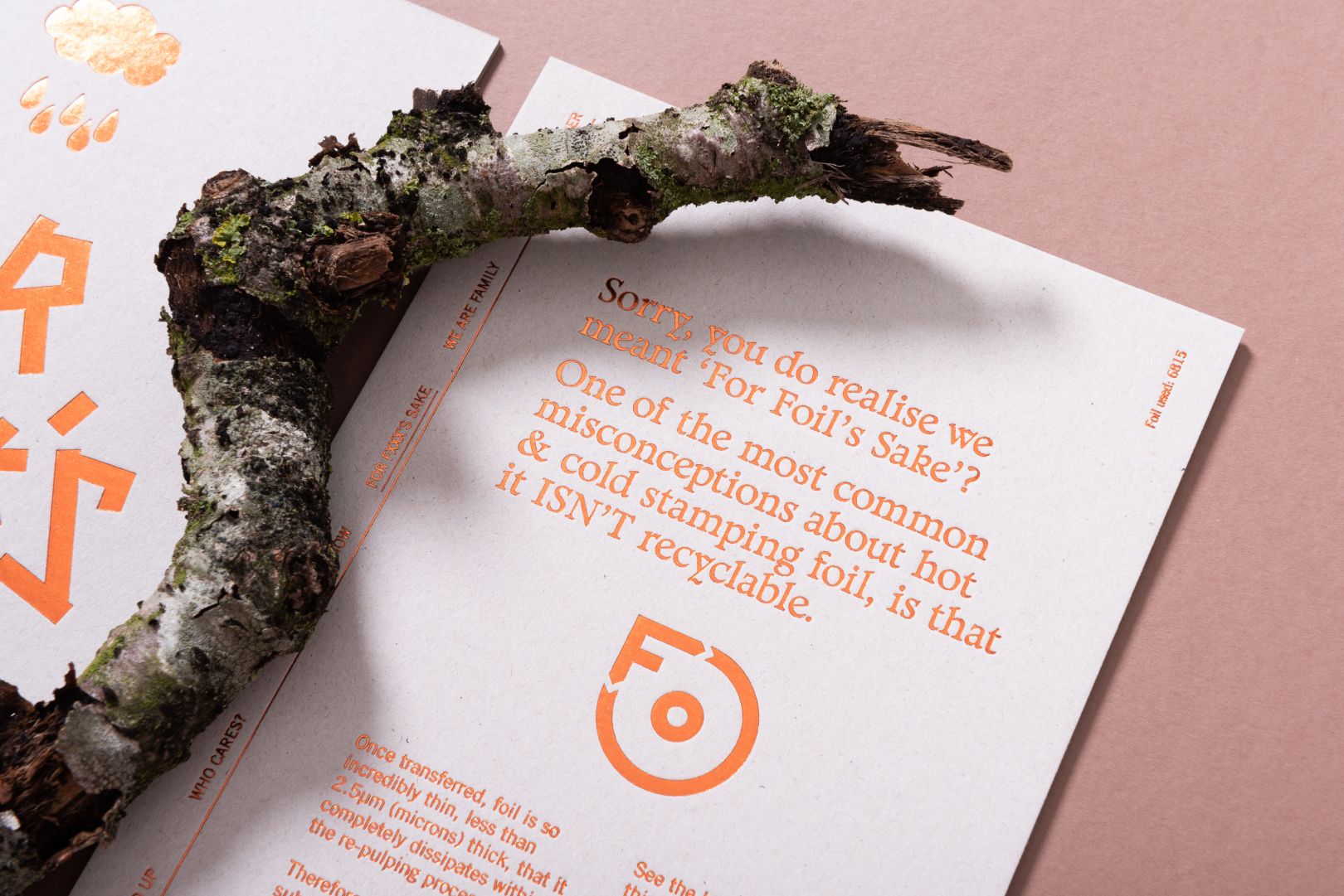 Foilco unveils its plans for a more sustainable future in a joyful ...