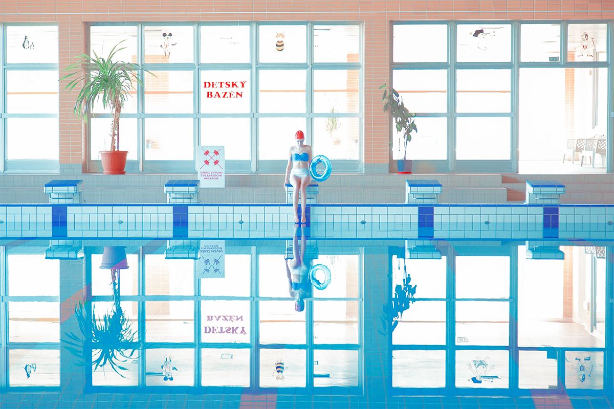 PolyWood: Clever concepts of wooden toy animals rendered in polygons ...