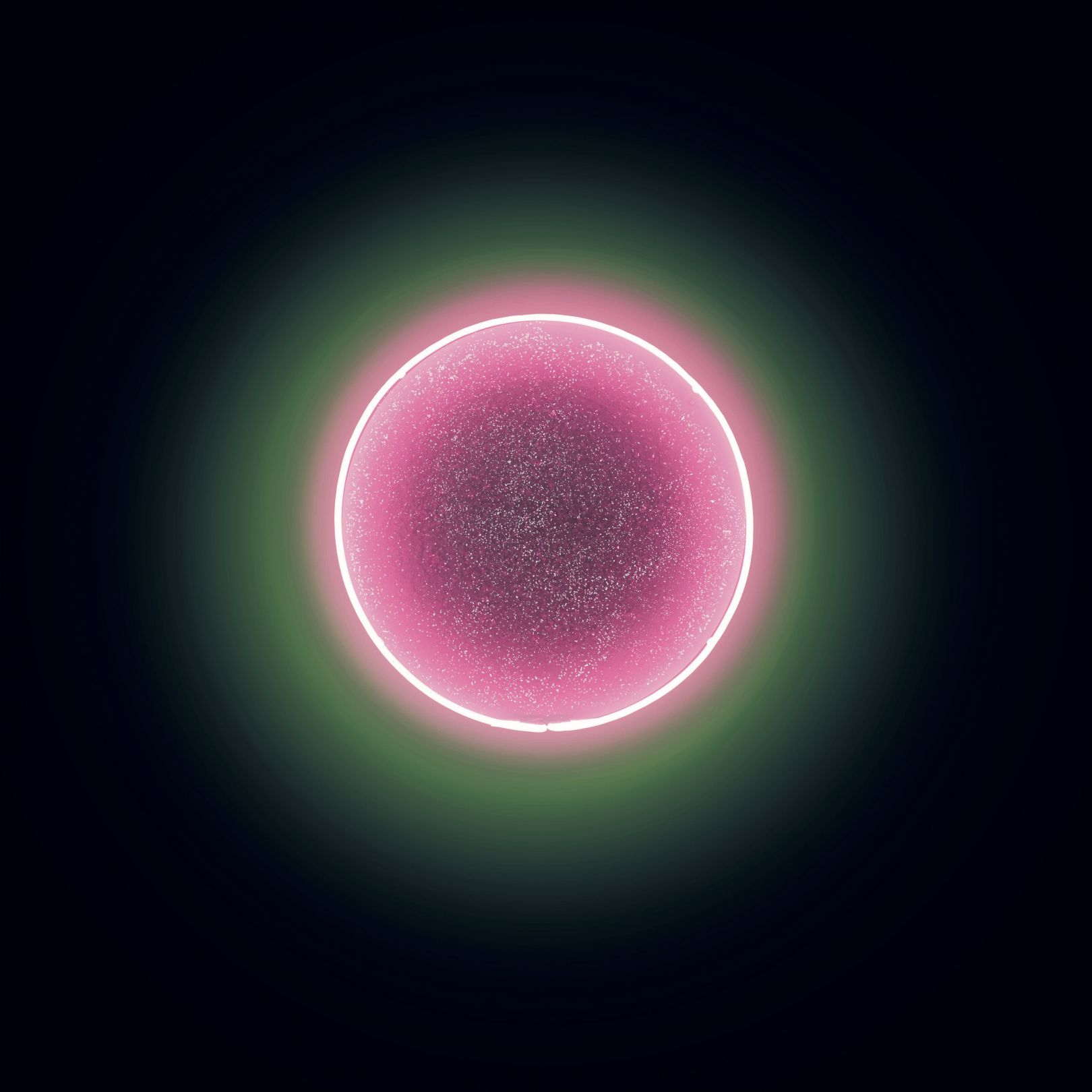 Electric: Lauren Baker’s dazzling neon sculptures that burst with ...