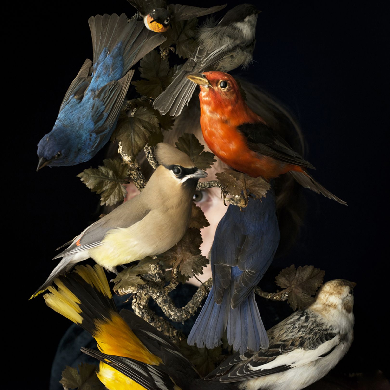 Artist and photographer Cig Harvey is Holding the Blue for her first UK ...