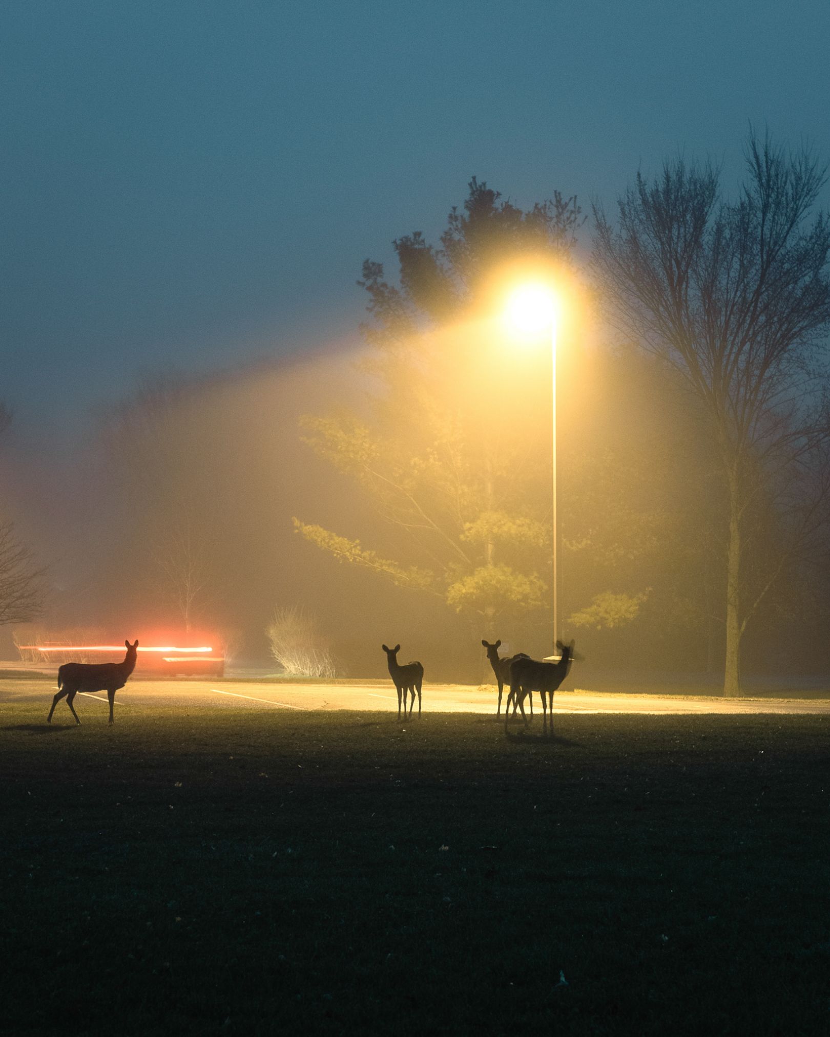 Cinematic photographs of America's rural Midwest at night look like ...