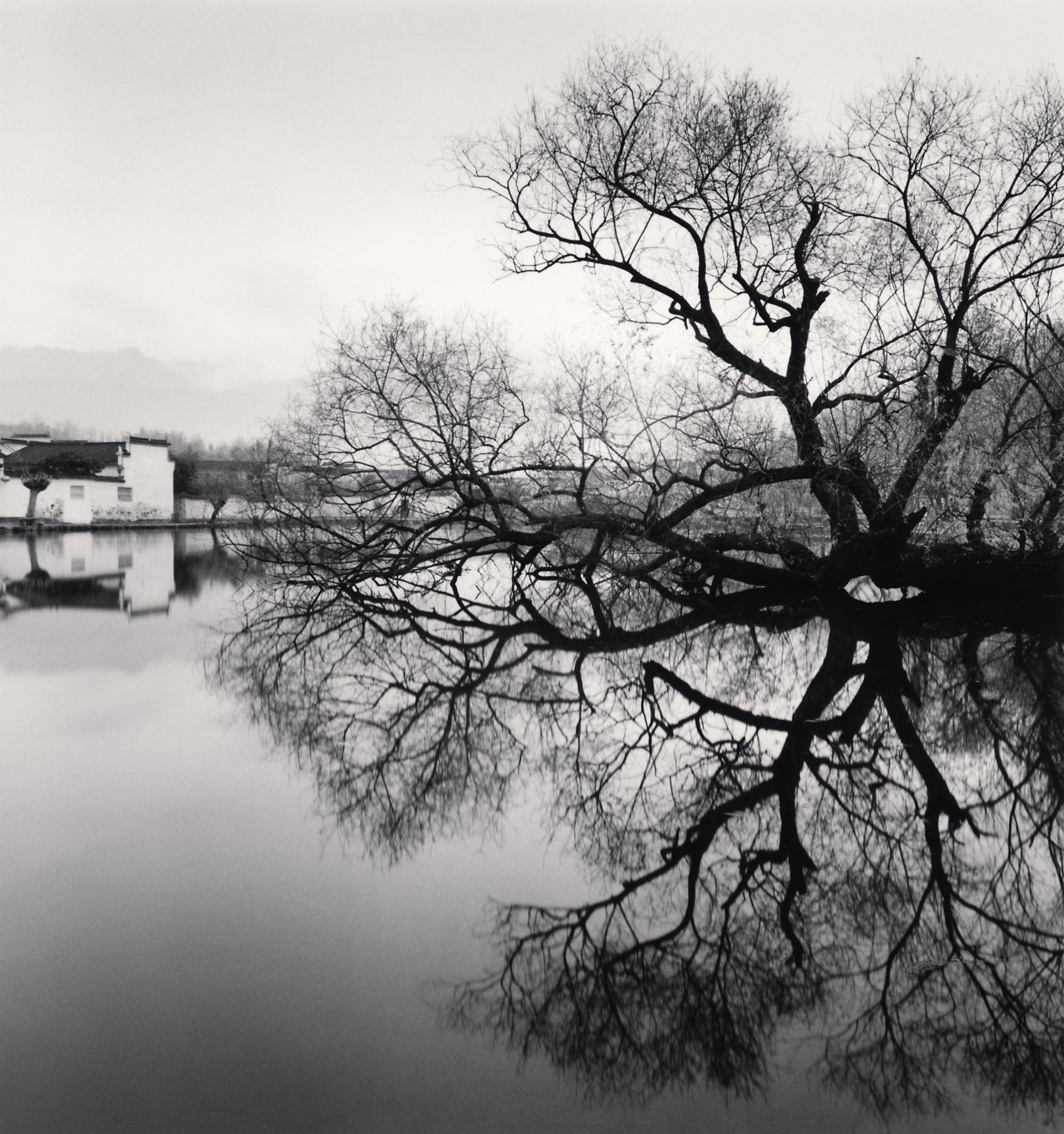 Philosopher's Tree by Michael Kenna is a spiritual journey in ...