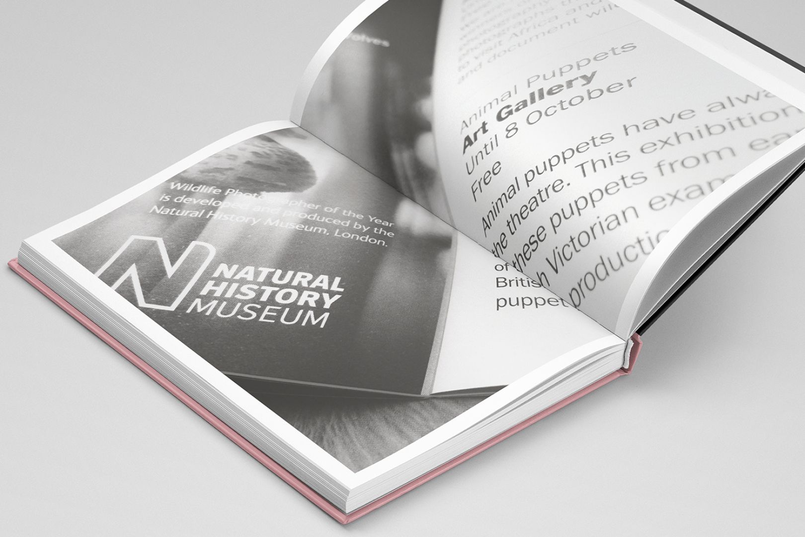 Severn celebrates 10 years of design work 'worth shouting about' with a ...