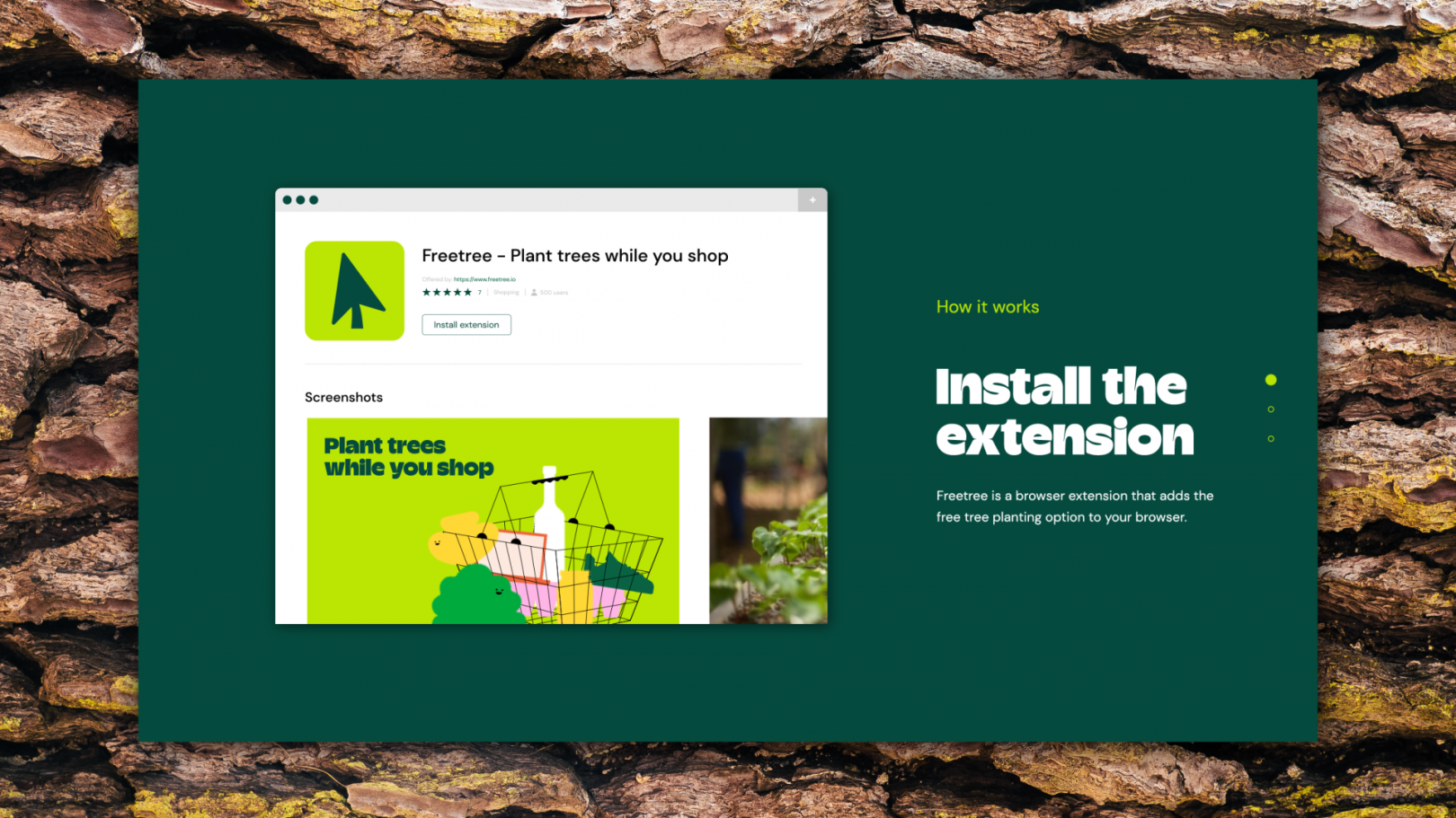 How&How asks to get 'paid in 60,000 trees' for rebranding a tree ...