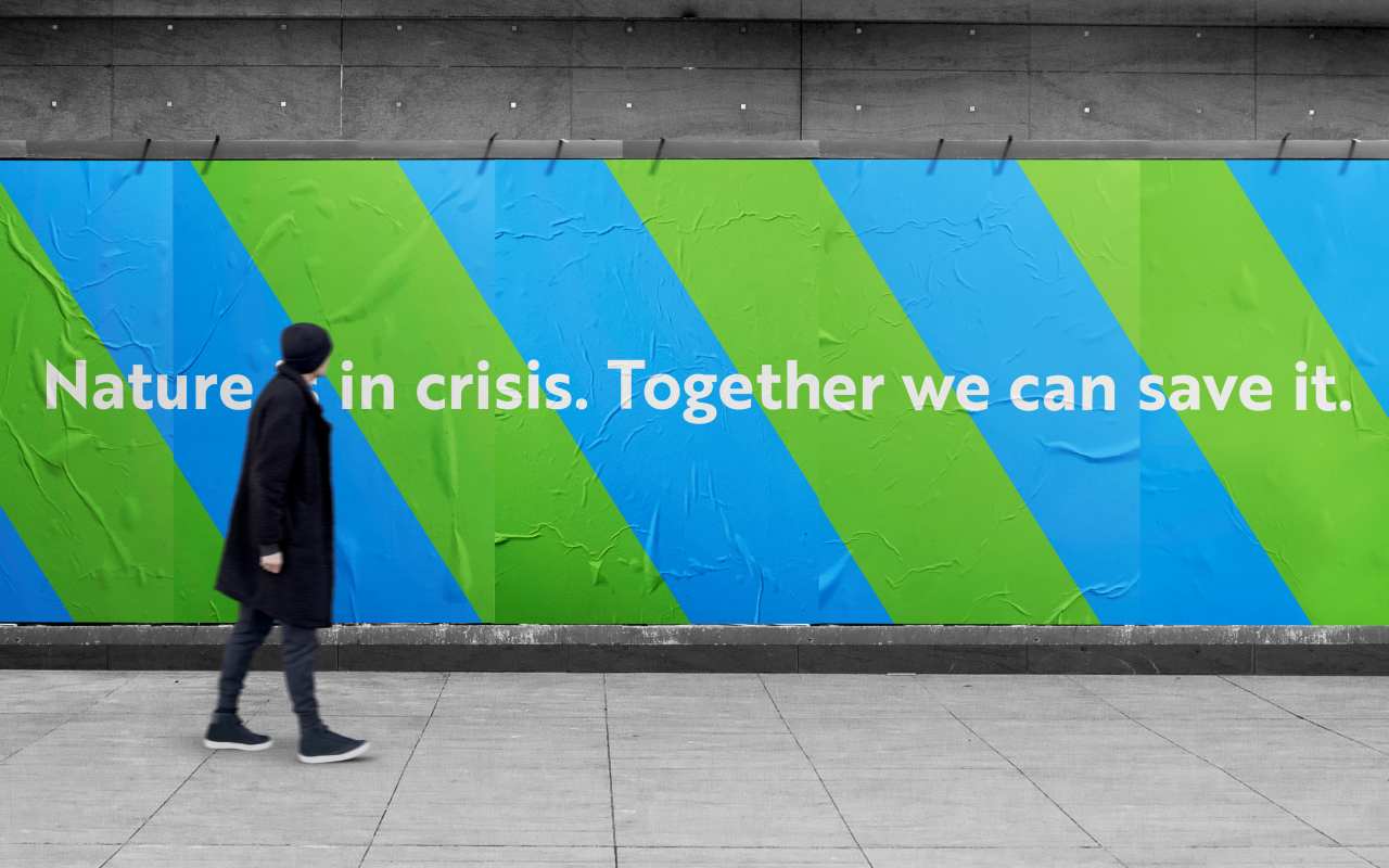 ASHA & Co helps the RSPB spread its wings with fresh identity that's ...