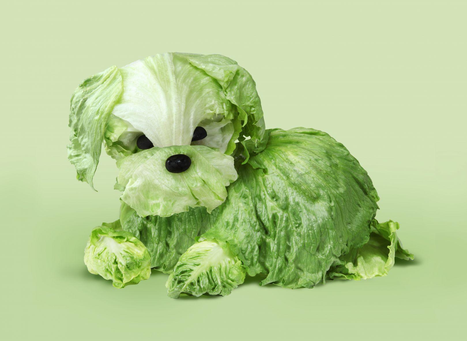 Photographs by Helga Stentzel of clothes on a washing line transformed ...