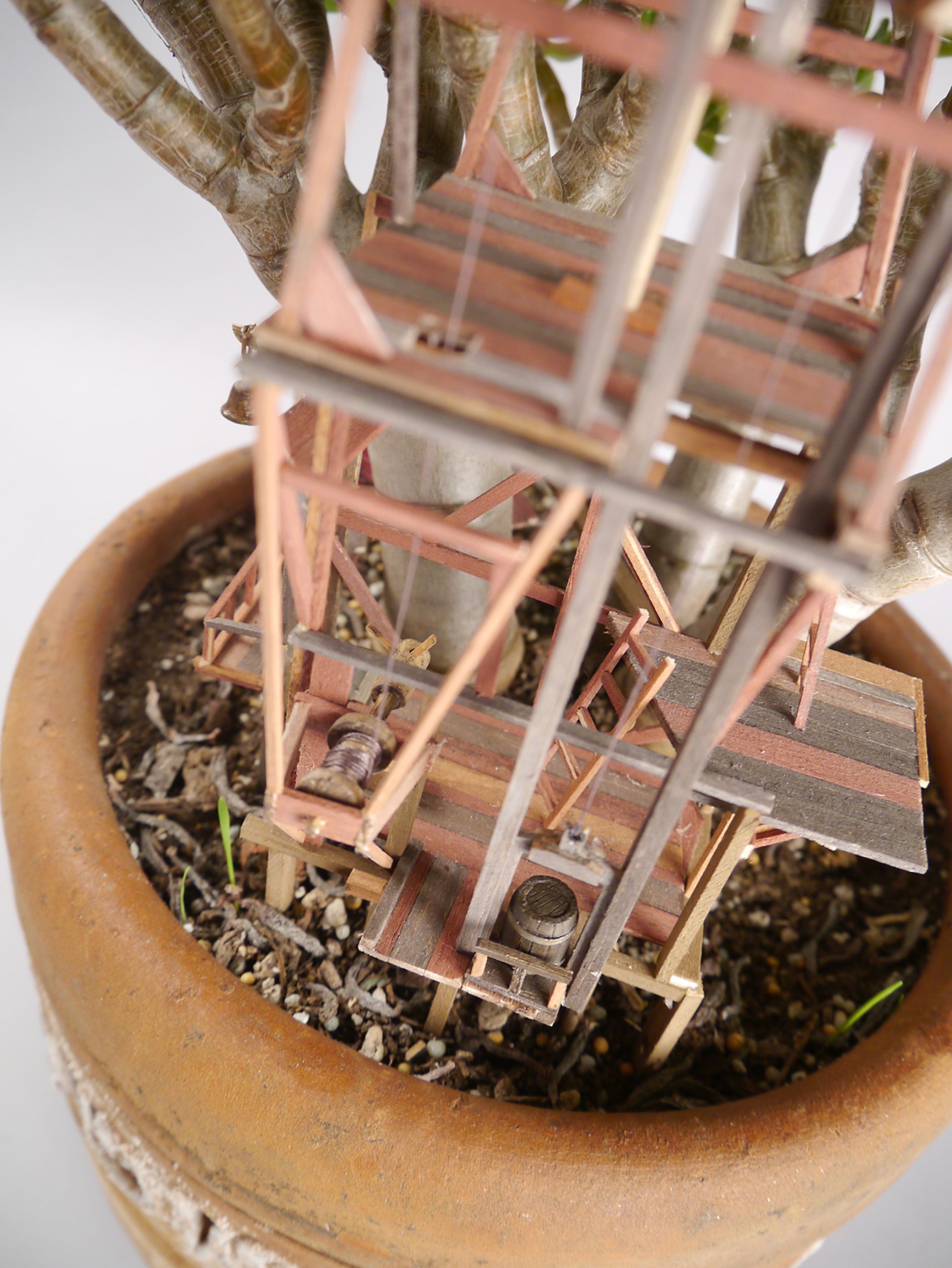 Artist crafts miniature treehouse sculptures to sit within ordinary ...