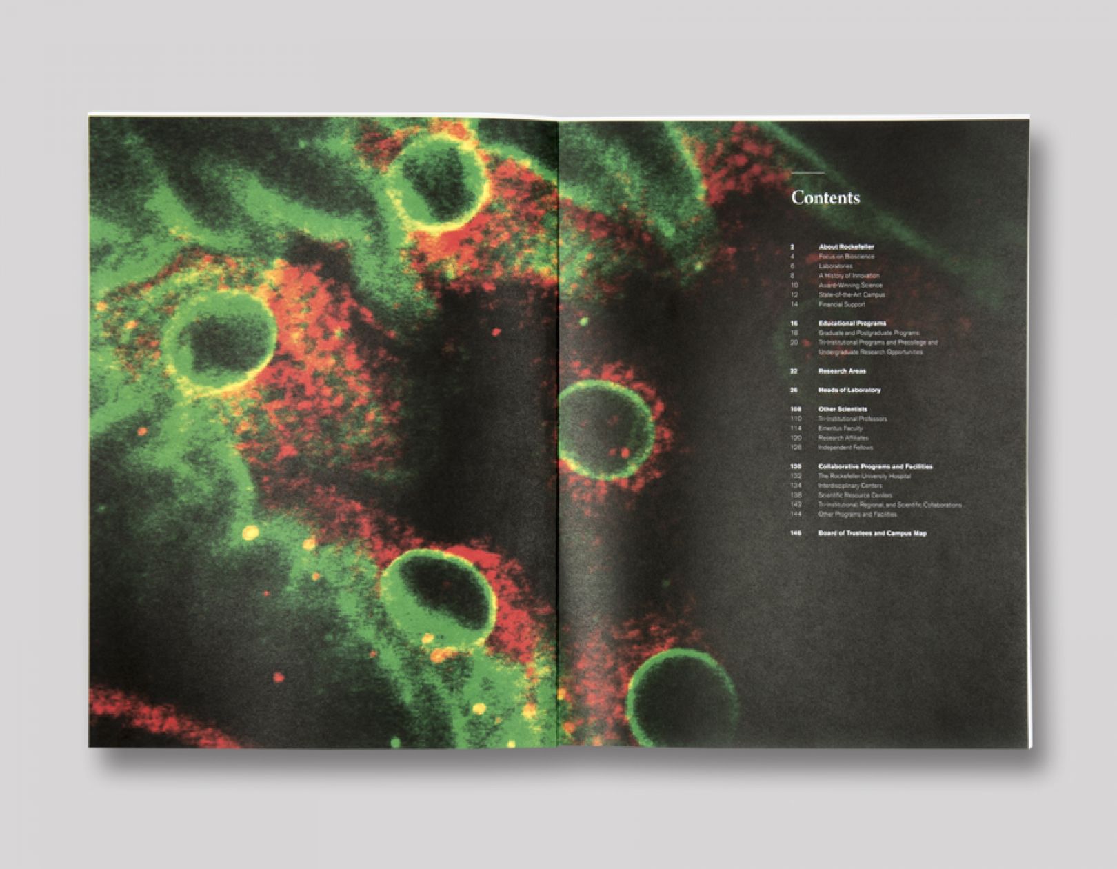 C&G takes biomedical scientific imagery and transforms into art for ...