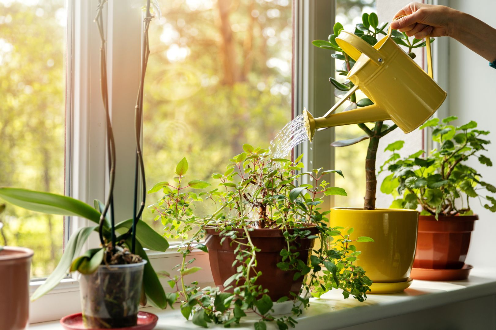 How to grow your existing clients | Creative Boom