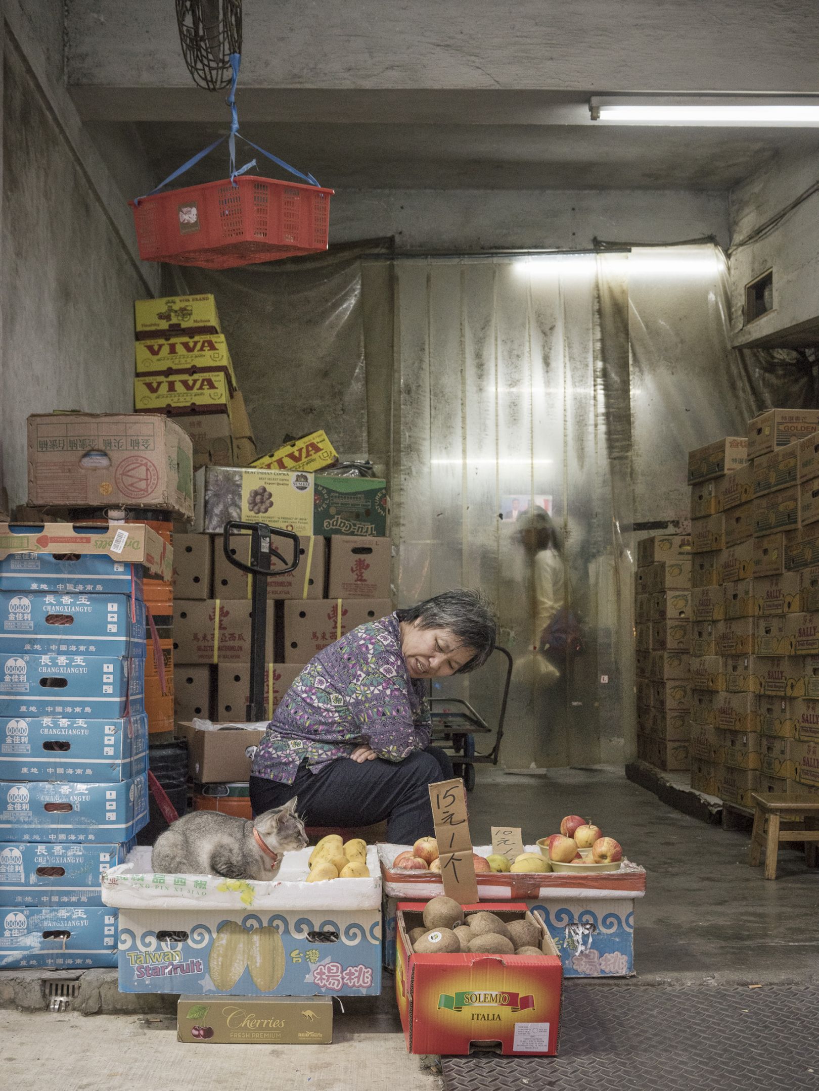 Photographer reveals the secret lives of Hong Kong's market cats in ...