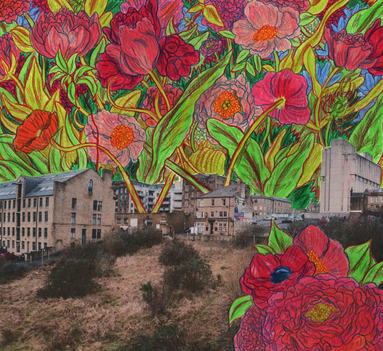 Hannah Lock draws hard with pencils and pastels to create vibrant ...
