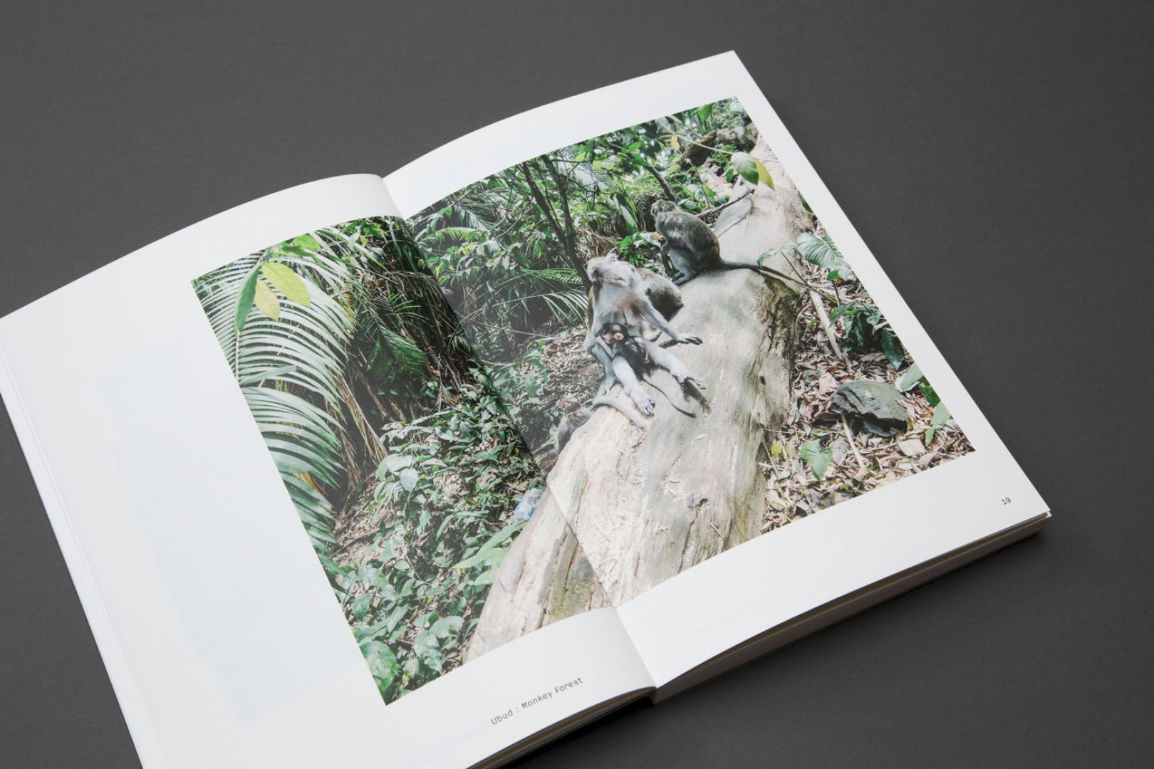 Voyage: Beautiful book of photography features 90 images from nine ...