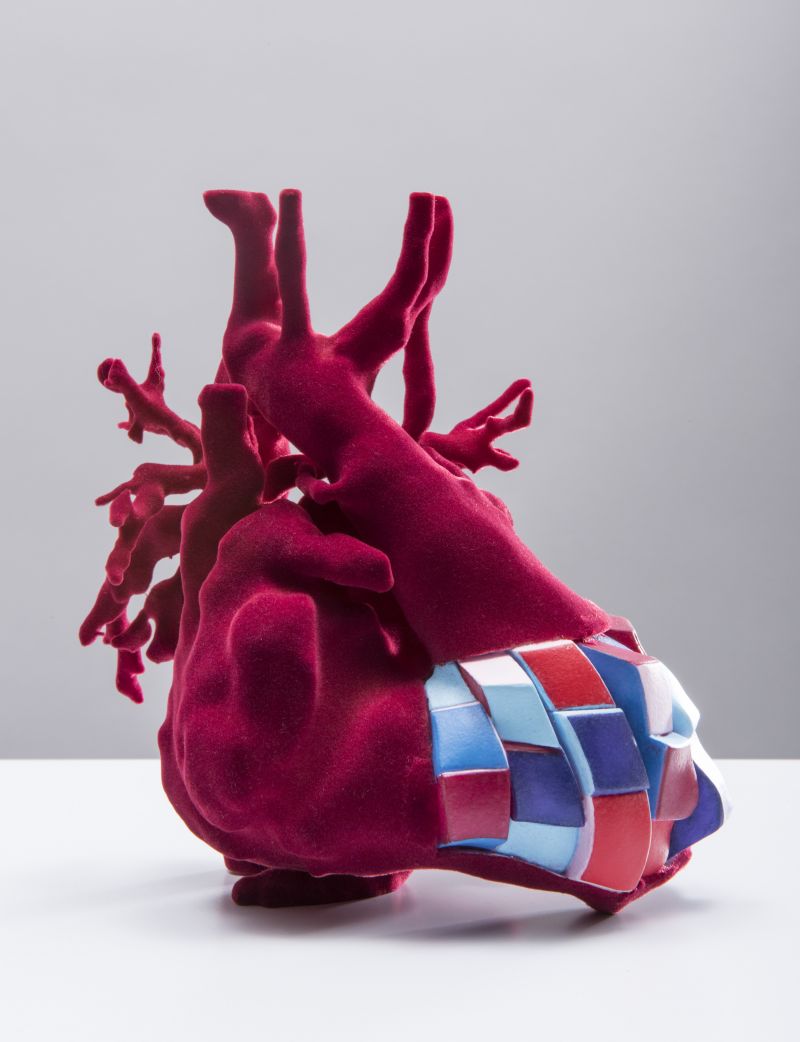 Human Heart Art Projects
