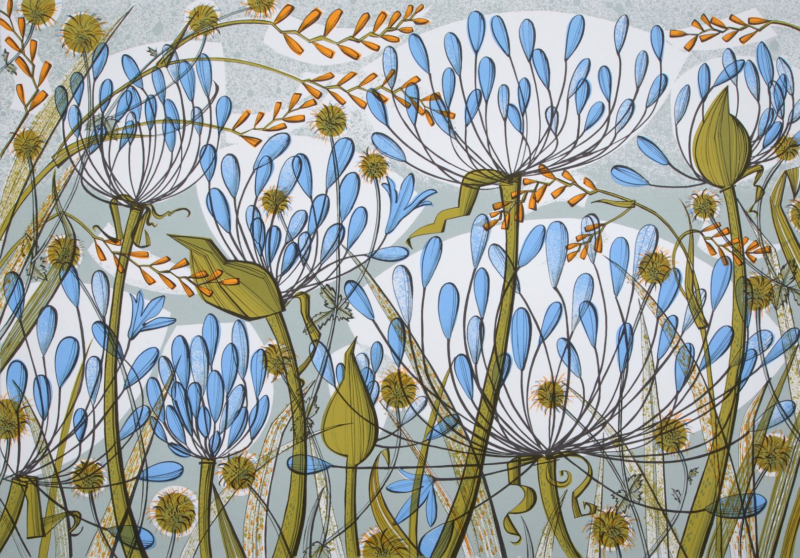 Artist Angie Lewin on painting, printmaking and native plant life ...