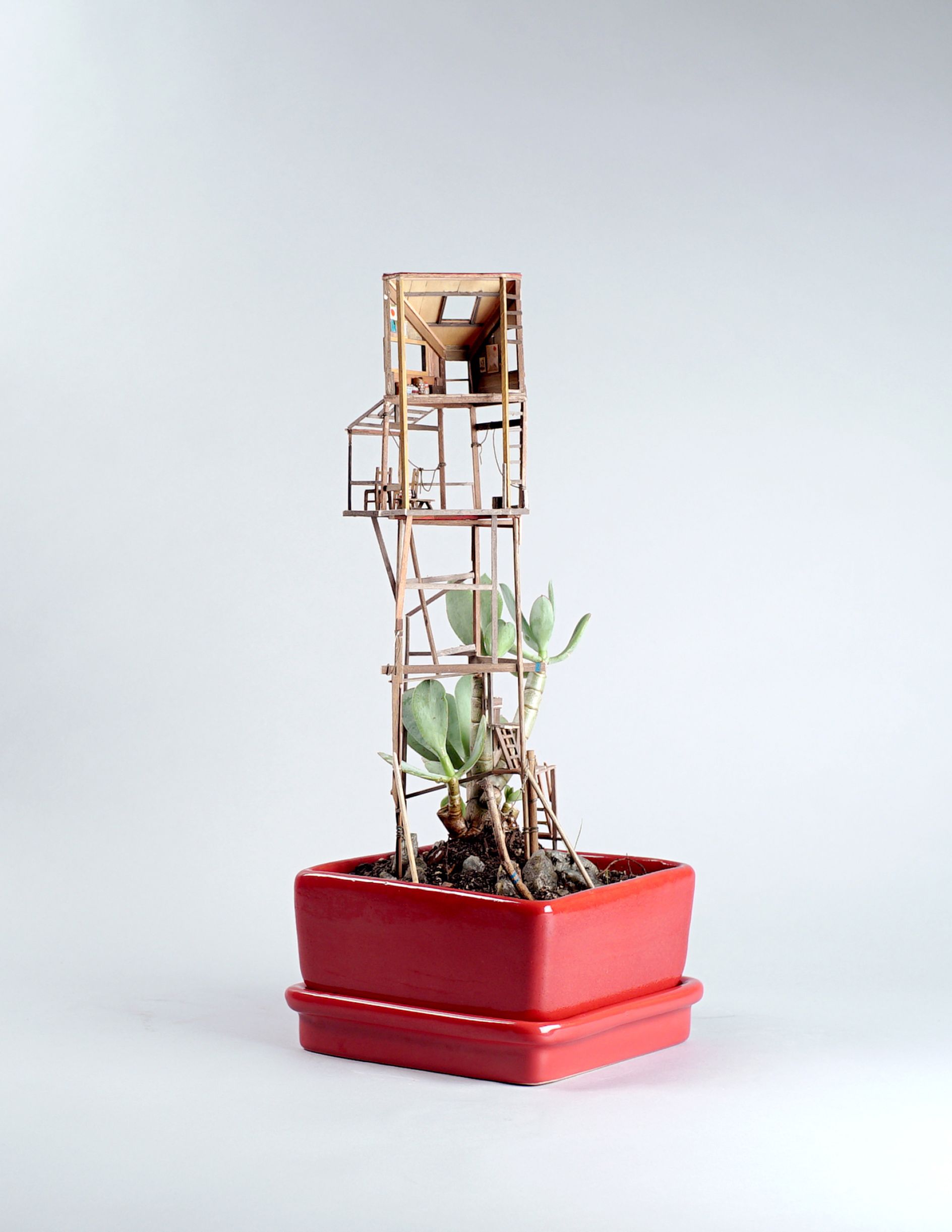 Artist crafts miniature treehouse sculptures to sit within ordinary ...