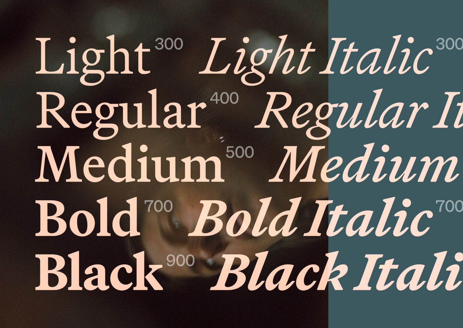 Fresh new fonts for September to satisfy that 'back to school' feeling ...