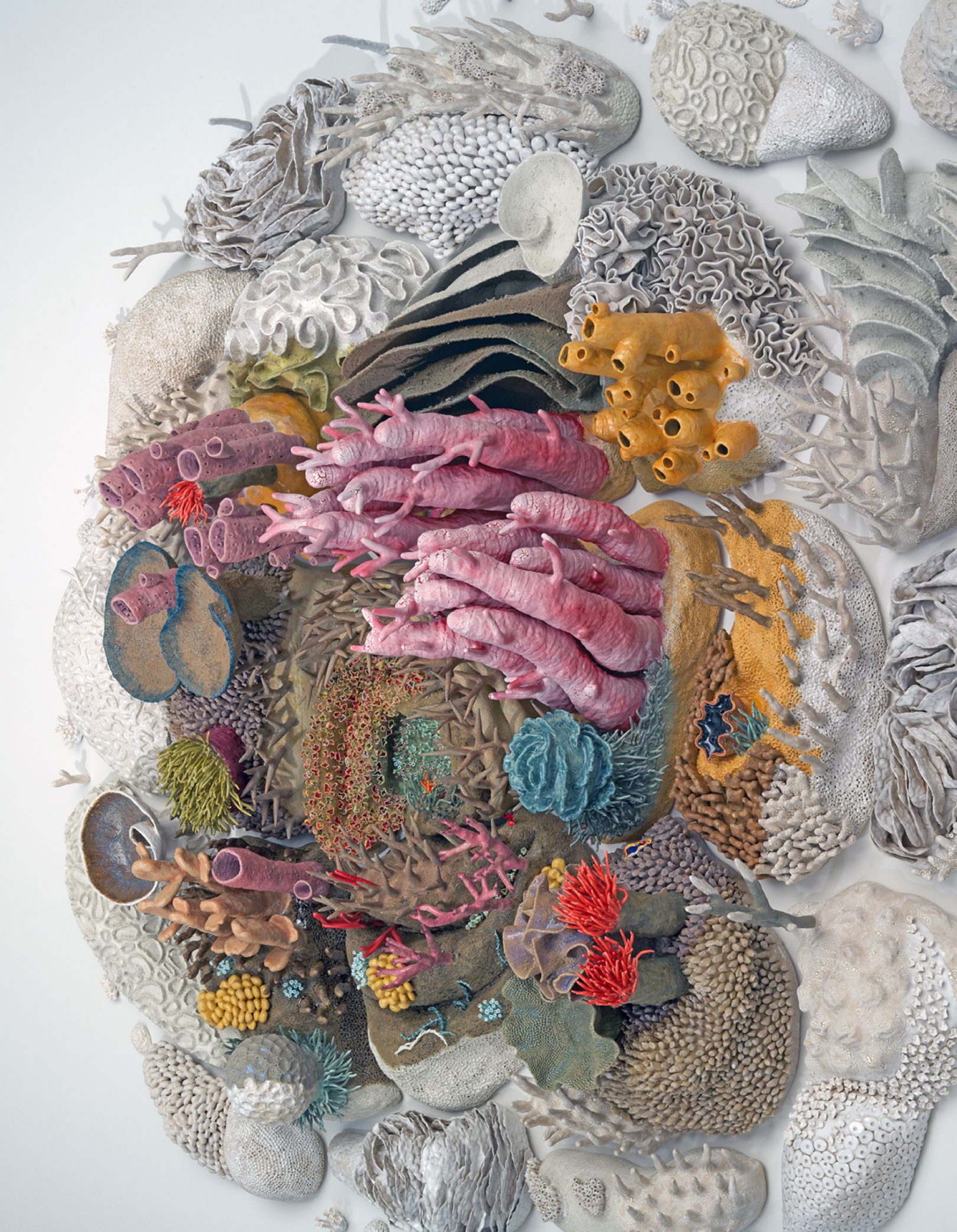 Artist sculpts huge ceramic coral reef to highlight the threat facing ...