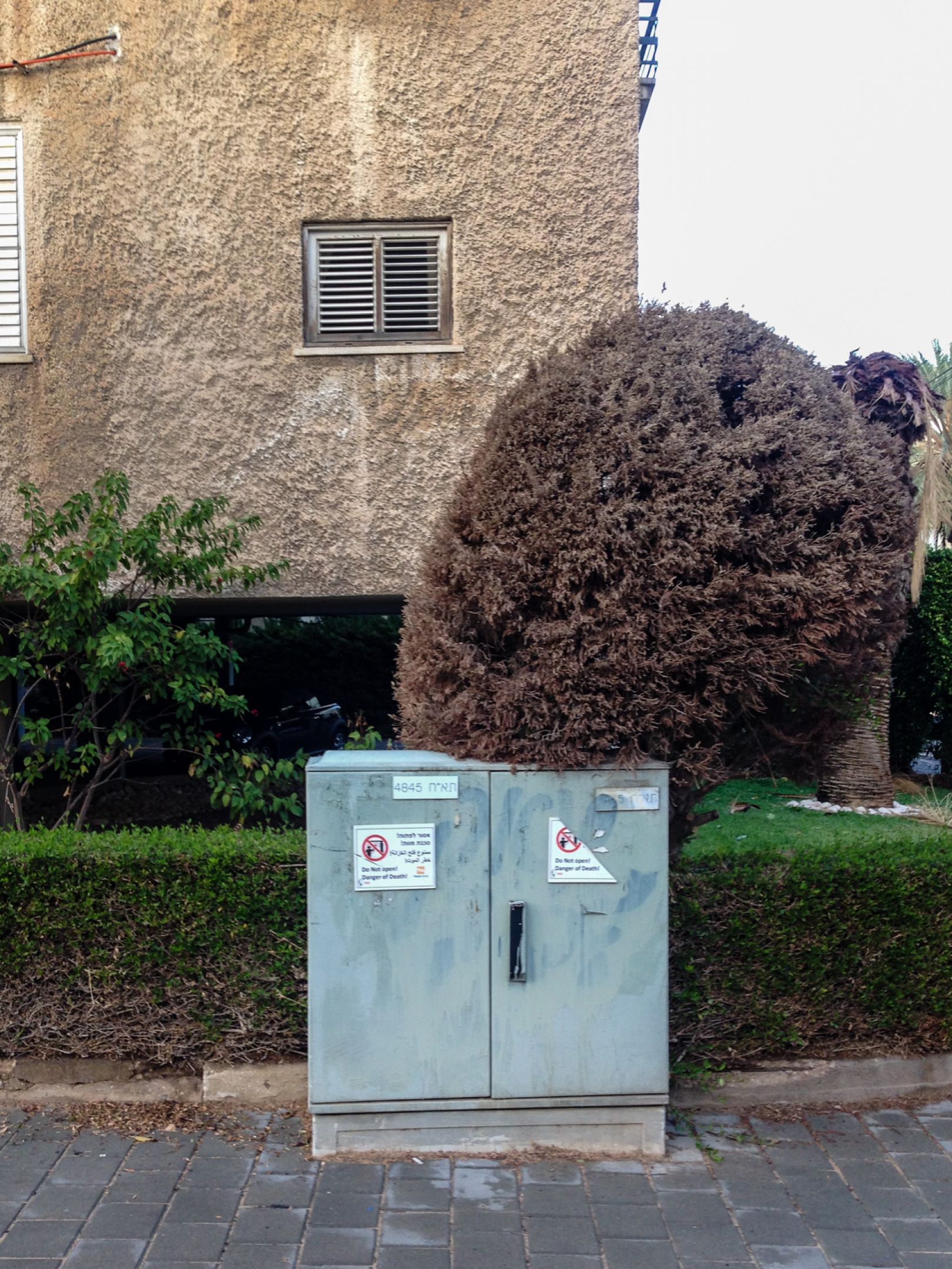 Urban Nature: David Goldstein shows the beauty of cities coexisting ...