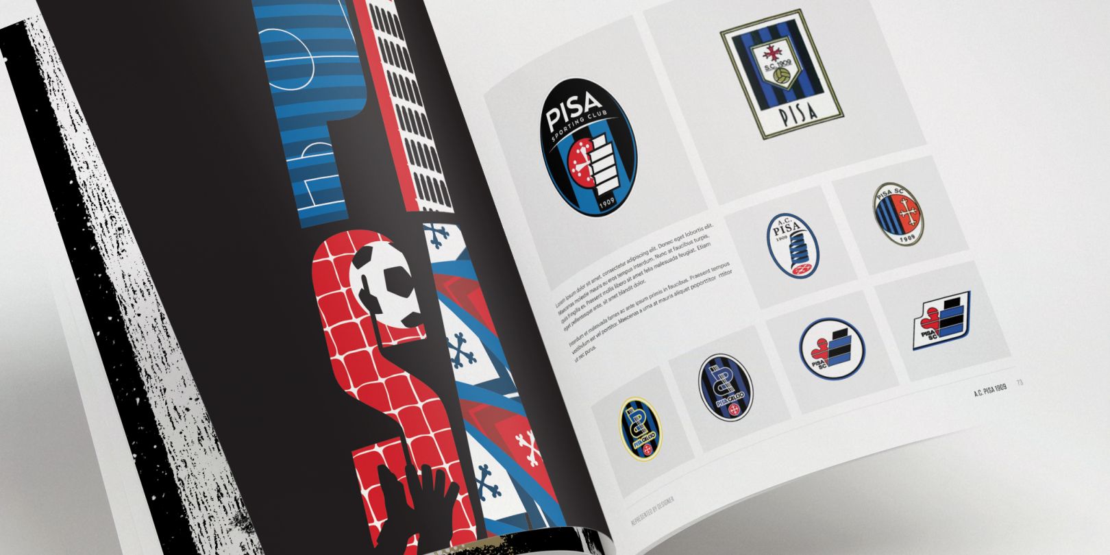 Football Crest Index: exploring the evolution of crest design in the ...