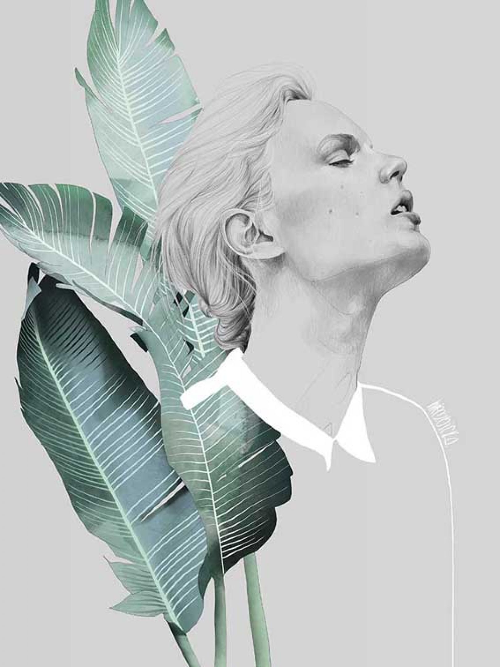 Understated illustrations straddle the border between fine art and ...