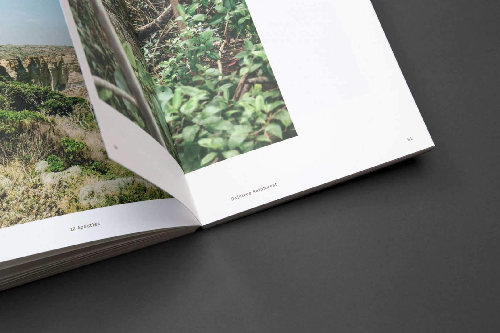 Voyage: Beautiful book of photography features 90 images from nine ...
