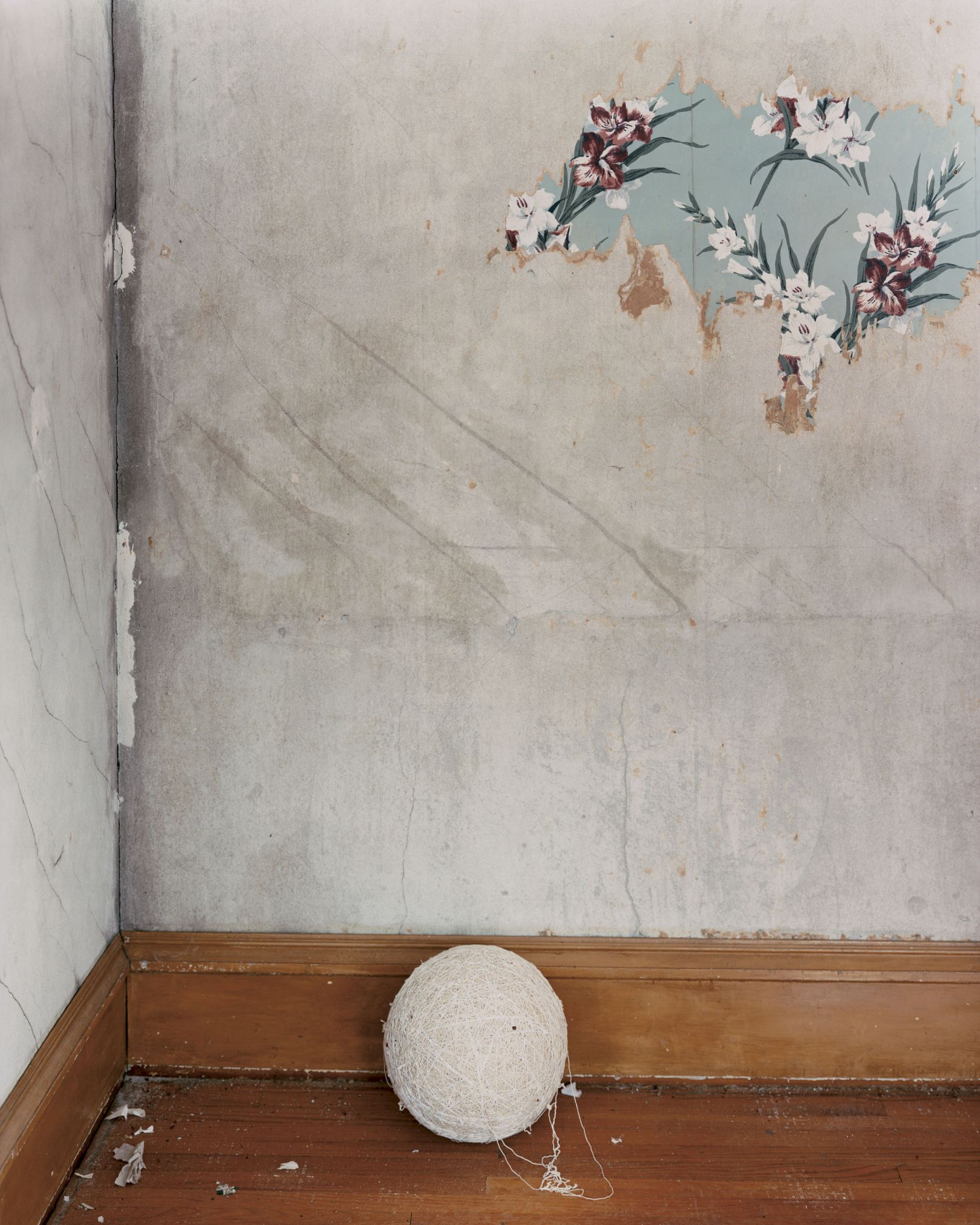 Sleeping by the Mississippi: Alec Soth’s revealing photographs of ...